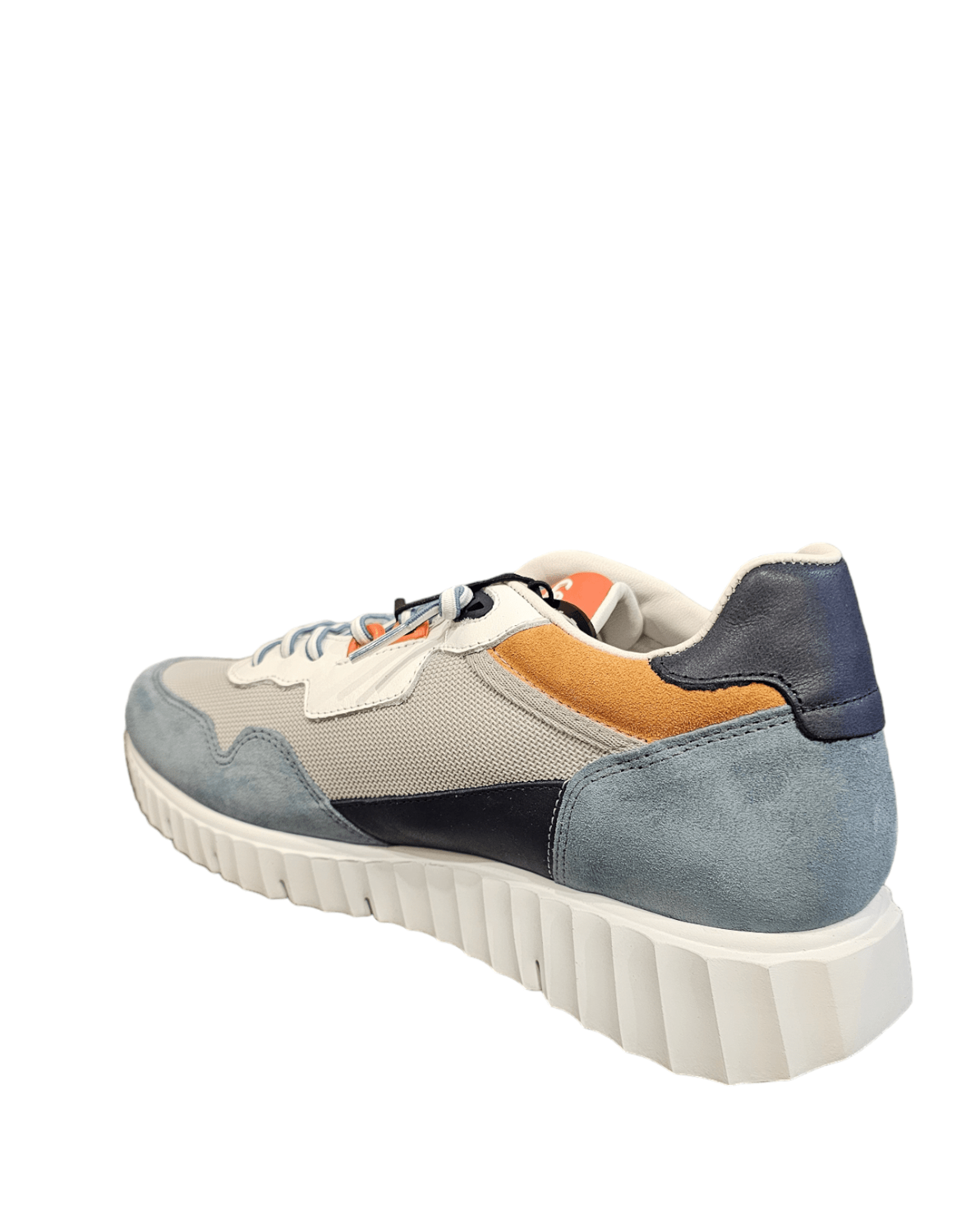 Zapatillas Cetti Man SS24 | Cetti | Miguel Peris